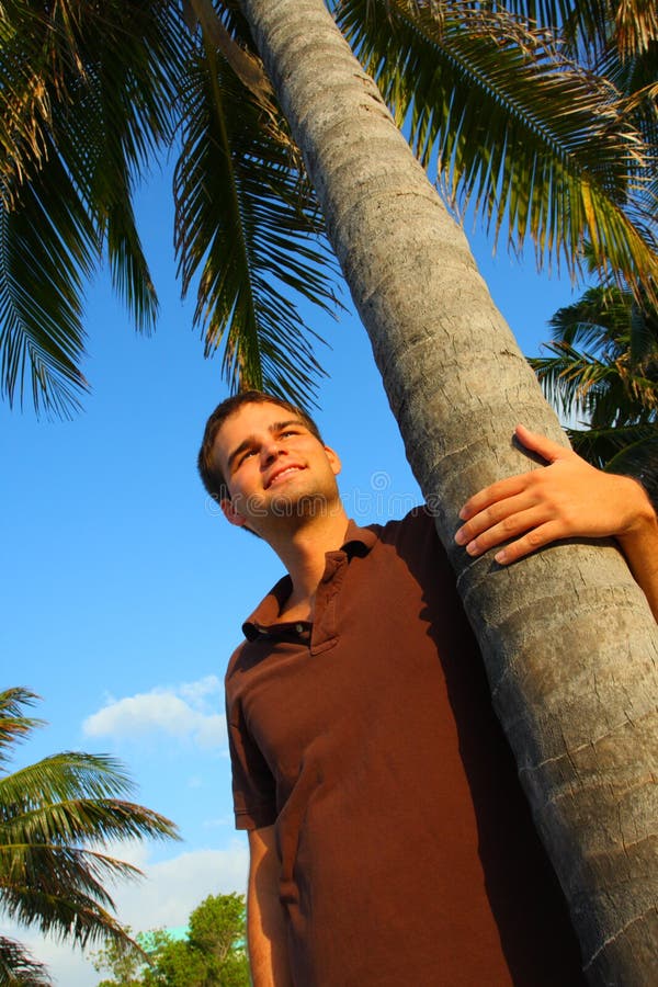 Mann-und Palme stockfoto. Bild von ruhig, menschlich, wedel - 5087042