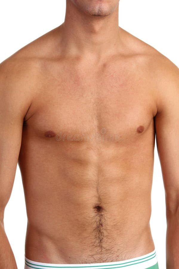 Mannelijk torso stock afbeelding. Image of sectie, gezond - 21227837