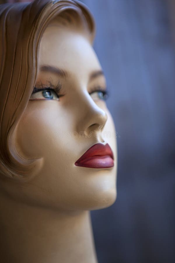 Link stock photo. Image of link, legend, zelda, adventure - 121722666