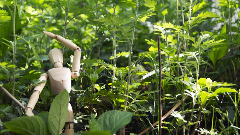 Mannequin Exploration stock image. Image of portrait - 55421633