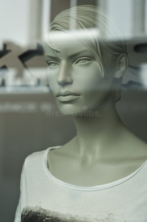 Mannequin in the showcase stock image. Image of handsome - 43909373