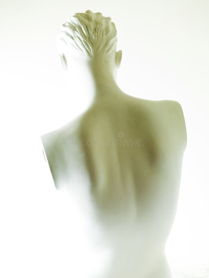 Mannequin Torso Head Back View Stock Photo - Image of showing, front ...