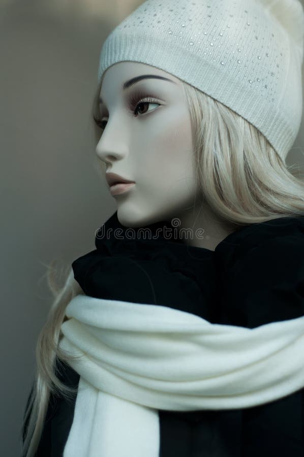 Mannequin winter fashion stock image. Image of concept - 48250663