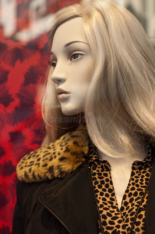 Mannequin winter fashion stock photo. Image of mannequin - 49258068