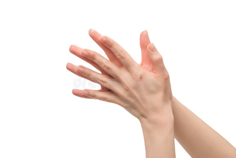 Mano De Mujer Aislada En Un Fondo Blanco Imagen de archivo - Imagen de ...