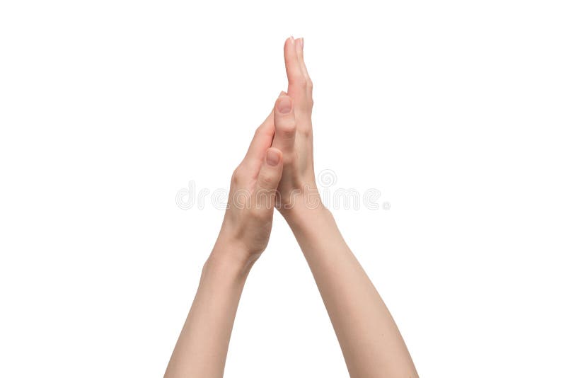 Mano De Mujer Aislada En Un Fondo Blanco Imagen de archivo - Imagen de ...