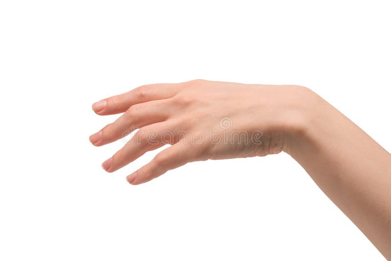 Mano De Mujer Aislada En Un Fondo Blanco Foto de archivo - Imagen de ...