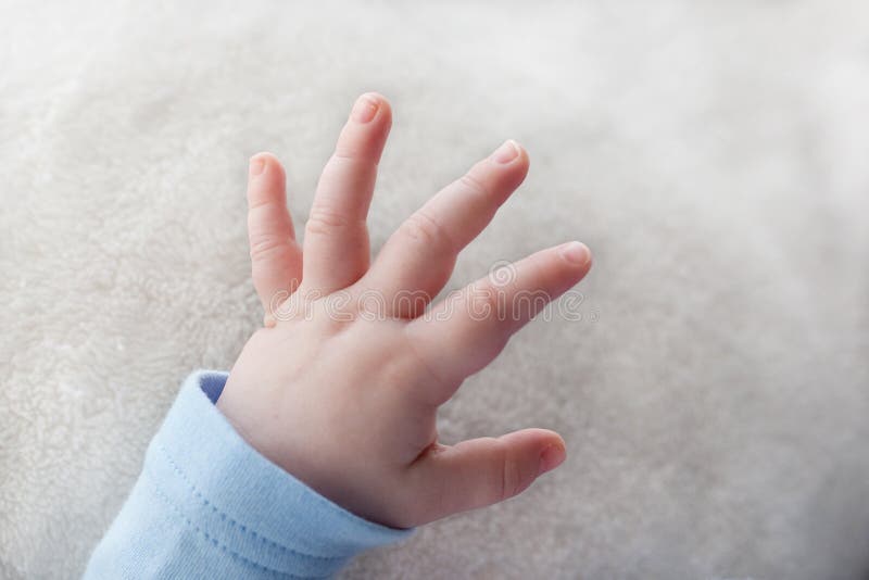 Mano del bebé foto de archivo. Imagen de meses, manos - 14164822