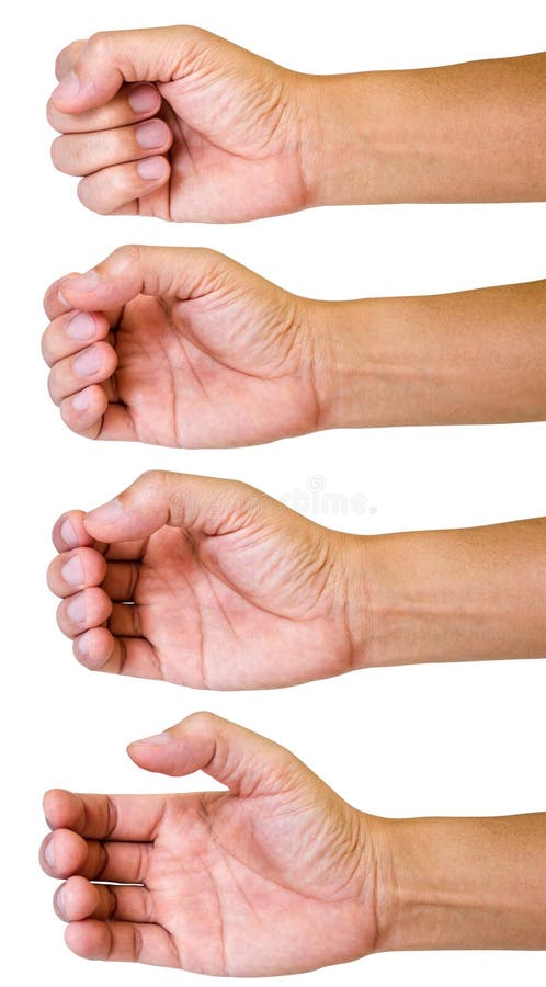 Mano Del Hombre Para Llevar a Cabo Algo Imagen de archivo - Imagen de ... Mano Del Hombre Para Llevar a Cabo Algo Imagen de archivo - Imagen de ...