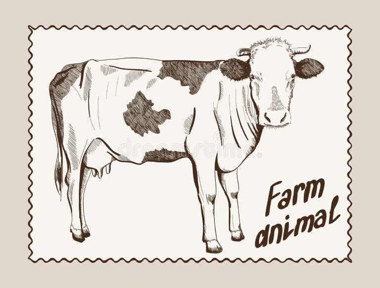 Mano Del Vector De La Vaca Dibujada Ilustración del Vector ...