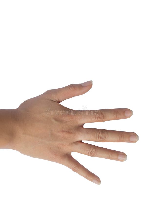 Mano Dell'affare Che Spinge Un Bottone Su Un Touch Screen Fotografia ...