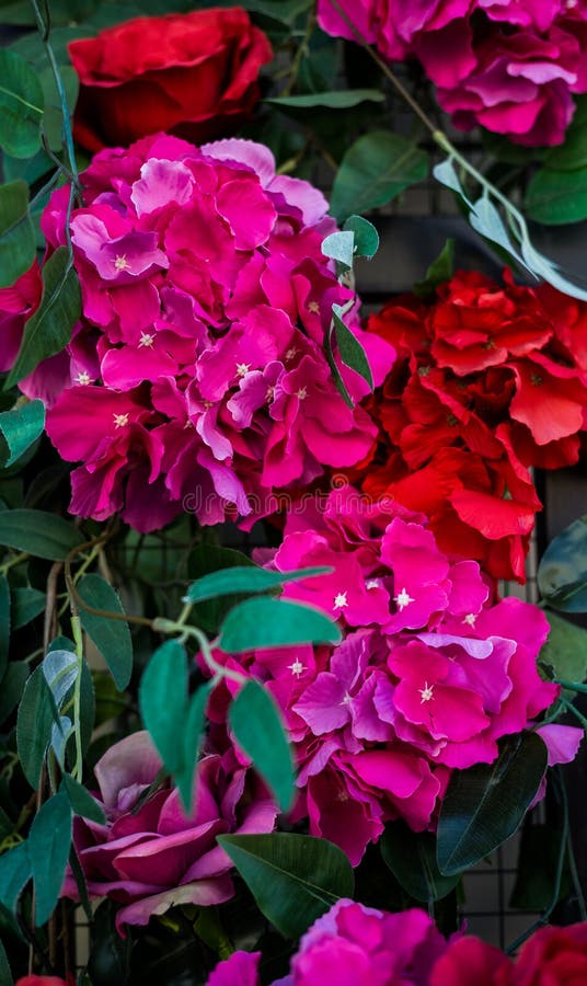 Mano Di Decorazione Per Pareti Con Rose Rosse E Rosa Immagine Stock ...