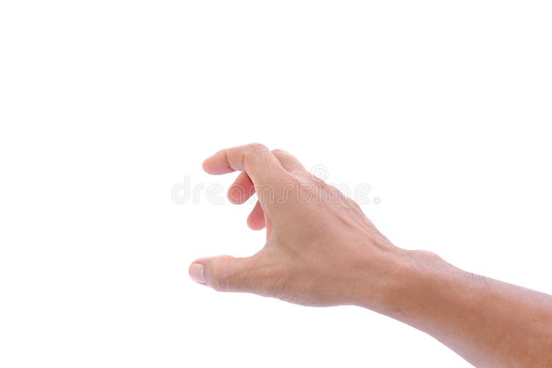 Mano En El Fondo Blanco, Aislado Imagen de archivo - Imagen de palma ...