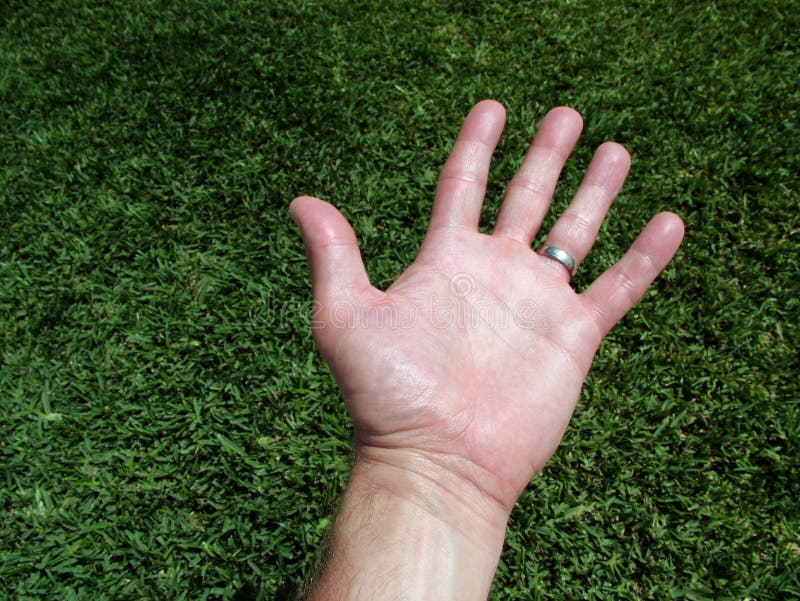 Mano humana foto de archivo. Imagen de idea, nonverbal - 5062896