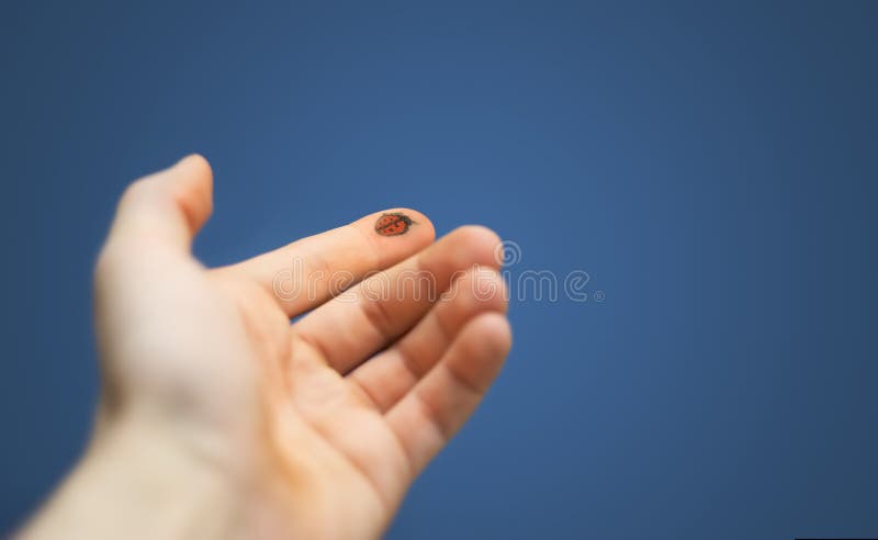 Mano humana foto de archivo. Imagen de estiramiento, amigo - 8915842