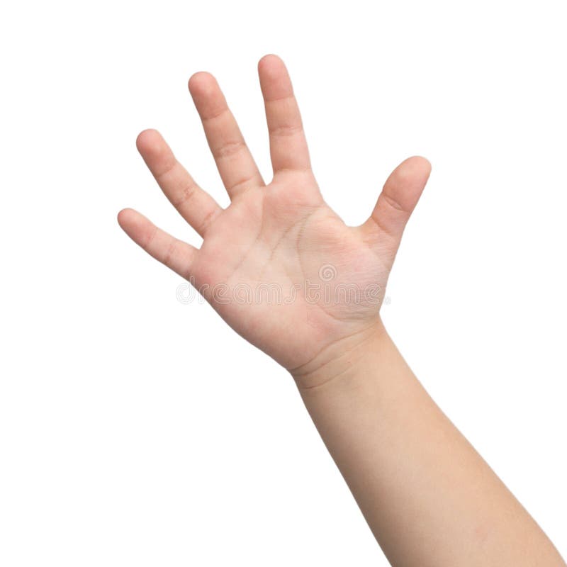 Mano. Mano de un niño. foto de archivo. Imagen de dedo - 35563940