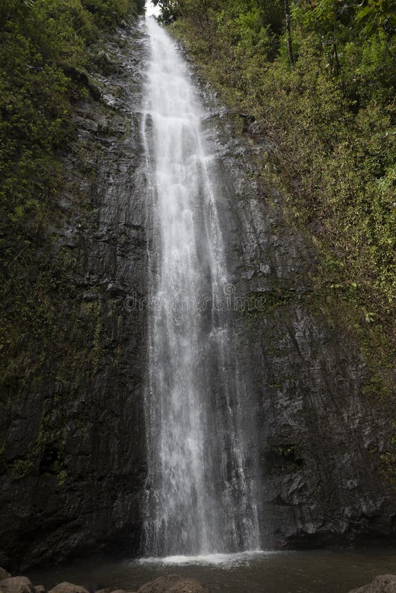 Manoa Falls in Honolulu Forest Reserve Stock Photo - Image of river ...