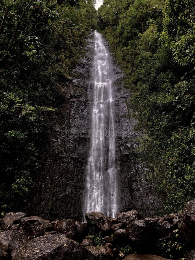Manoa Falls, Manoa Valley HI Stock Photo - Image of valley, manoa ...