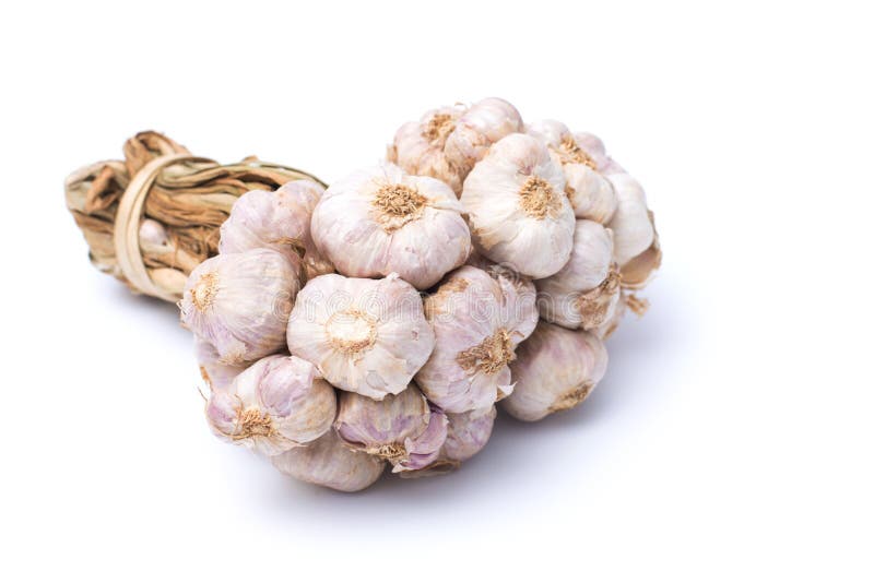 Manojo de ajo imagen de archivo. Imagen de clavo, especia - 94245817