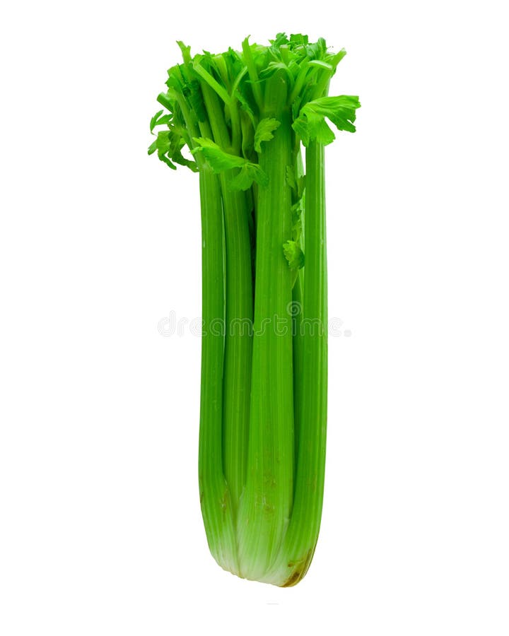 Manojo de apio foto de archivo. Imagen de cocina, delicioso - 20077910