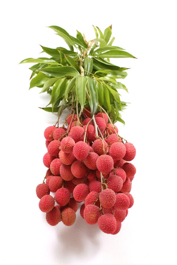 Manojo de Lychee foto de archivo. Imagen de manojo, blanco - 7187398