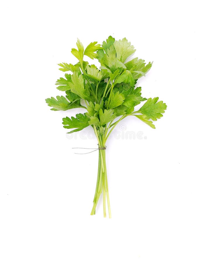 Manojo De Perejil En Blanco Foto de archivo - Imagen de condimento ...
