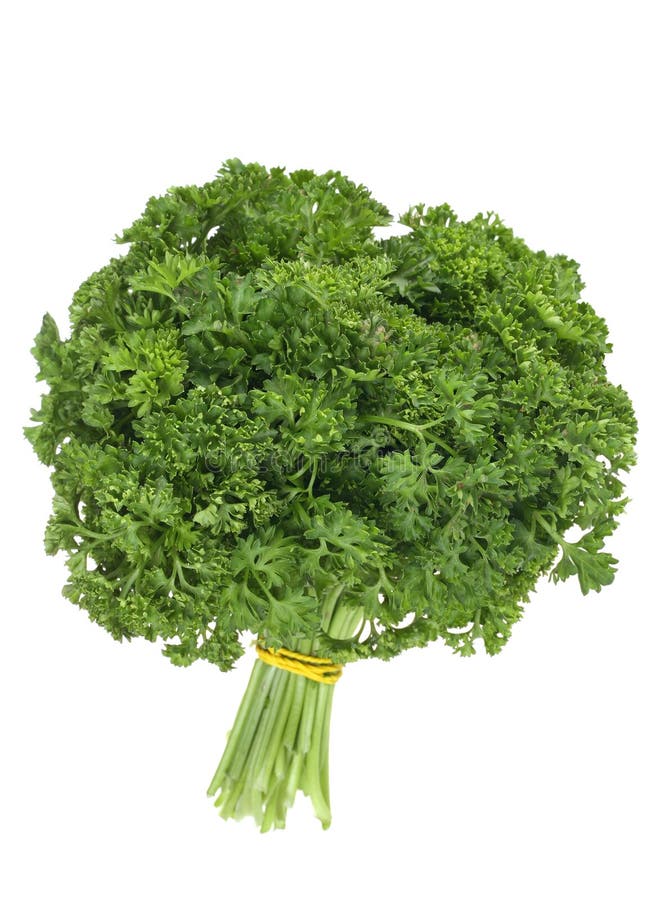 Manojo rizado del perejil foto de archivo. Imagen de hierba - 61443148