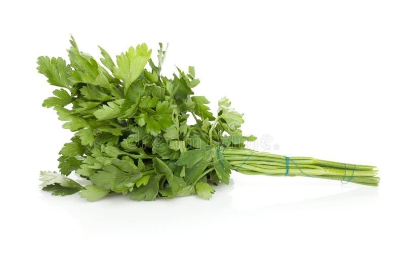 Manojo De Perejil Rizado Verde Fresco Imagen de archivo - Imagen de ...