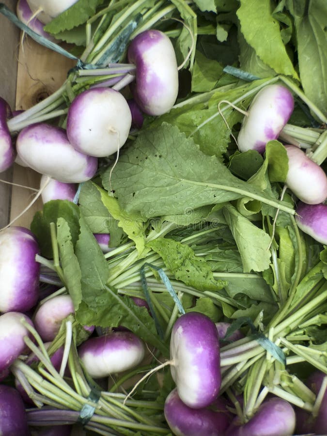 Nabos y verdes foto de archivo. Imagen de verdes, mercado - 27018300