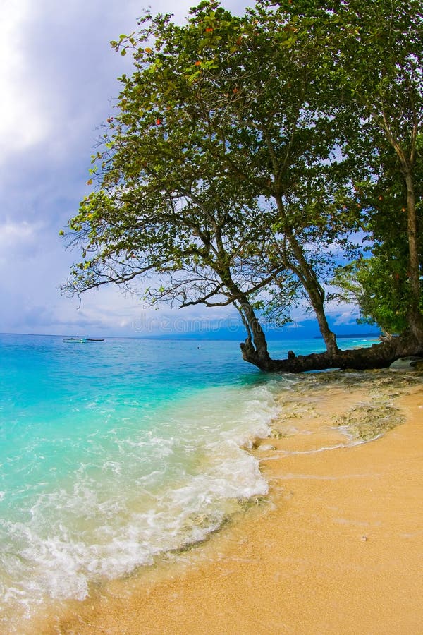 Manokwari beach stock photo. Image of wave, manokwari - 13196672