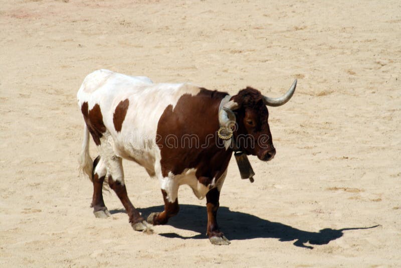 Manor-house in the Bullring of Pamplona. Editorial Photography - Image ...