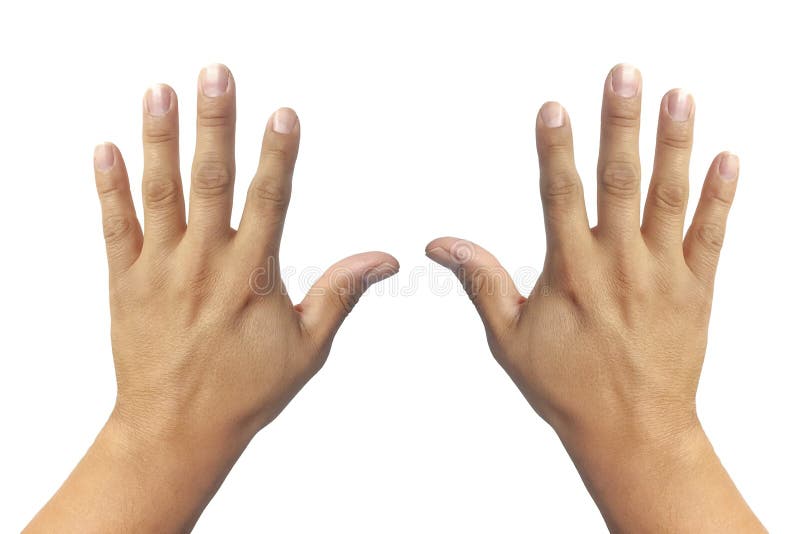 Manos Aisladas En El Fondo Blanco Foto de archivo - Imagen de gente ...