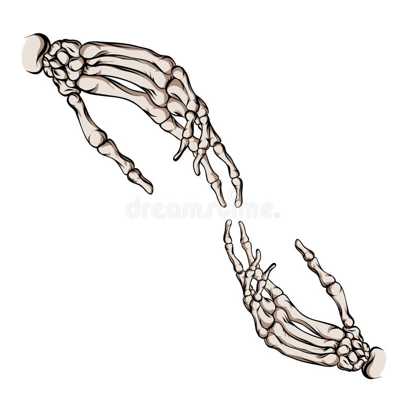 Esqueleto de las manos stock de ilustración. Ilustración de dedos ...