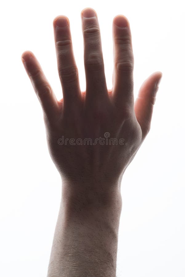 Male Left Hand Counting Isolated Stock Photo - Image of pointer ...