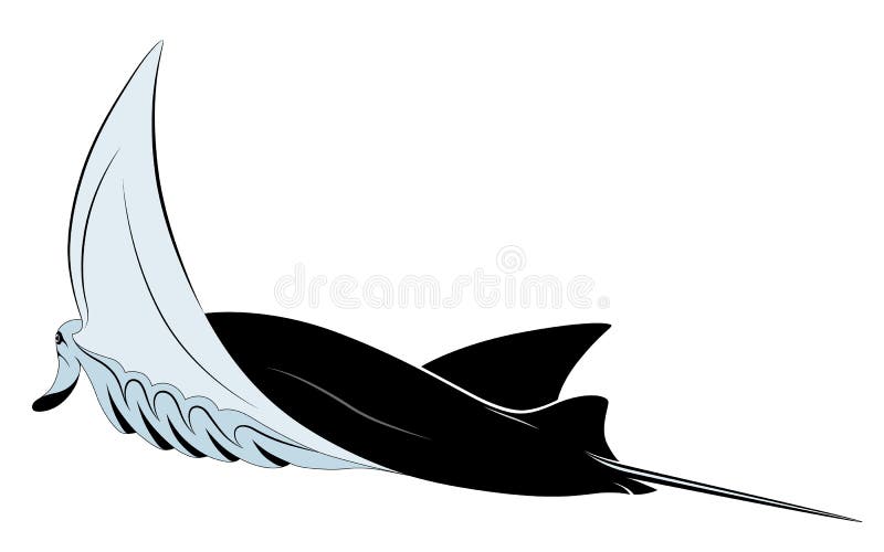 Manta Ray Stock Illustrations – 5,011 Manta Ray Stock Illustrations ...