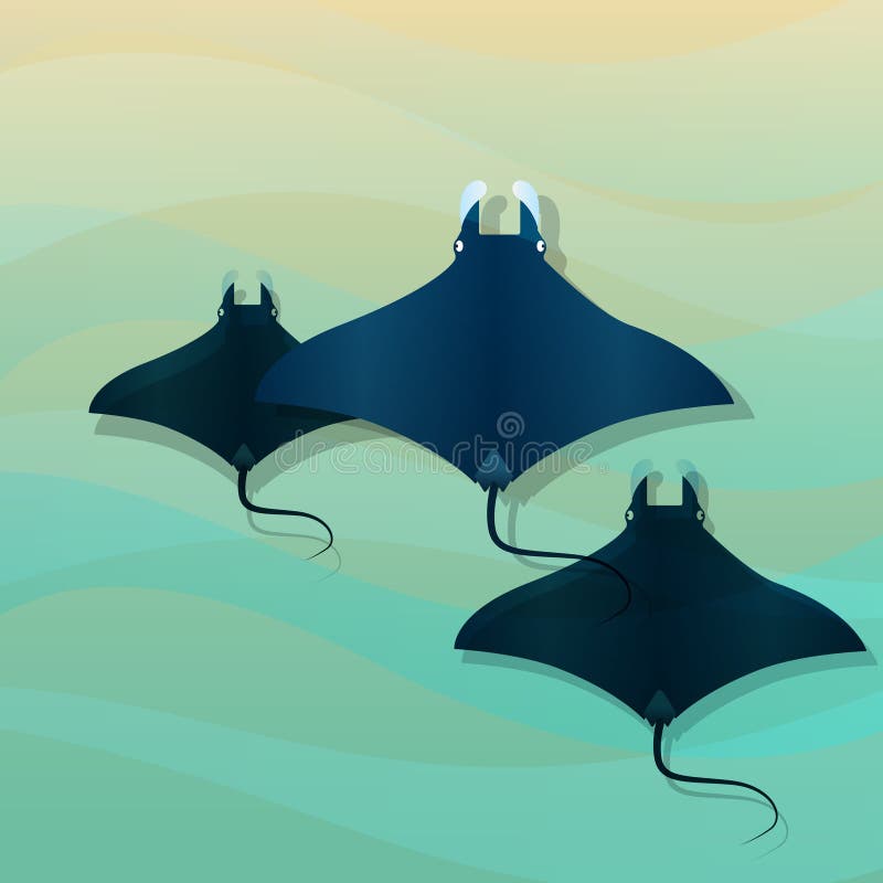 Flying Manta Ray Stock Illustrations – 77 Flying Manta Ray Stock ...
