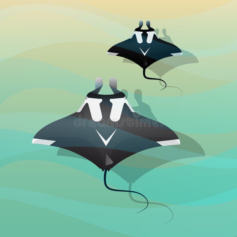 Flying Manta Rays Stock Illustrations – 21 Flying Manta Rays Stock ...