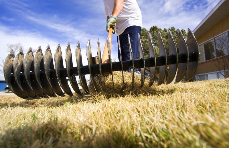 Mantenimiento de yarda imagen de archivo. Imagen de paisajismo - 9700163