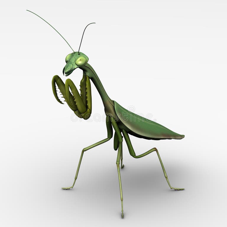 Mantis Religiosa Stock Stock Illustrations – 112 Mantis Religiosa Stock ...