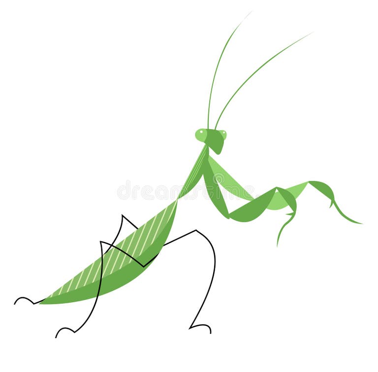 Mantis Attacking Stock Illustrations – 5 Mantis Attacking Stock ...