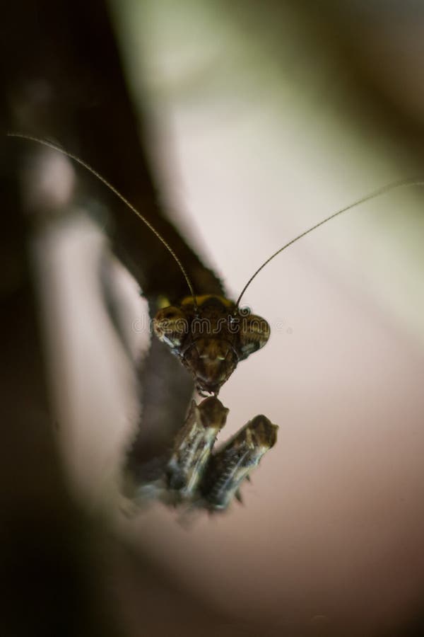 Sad Man in the Dark Praying To God Stock Image - Image of head ...