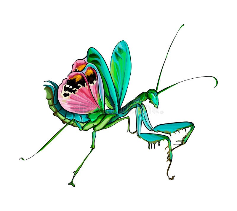 Mantis in a Defensive Position from Multicolored Paints. Splash of ...