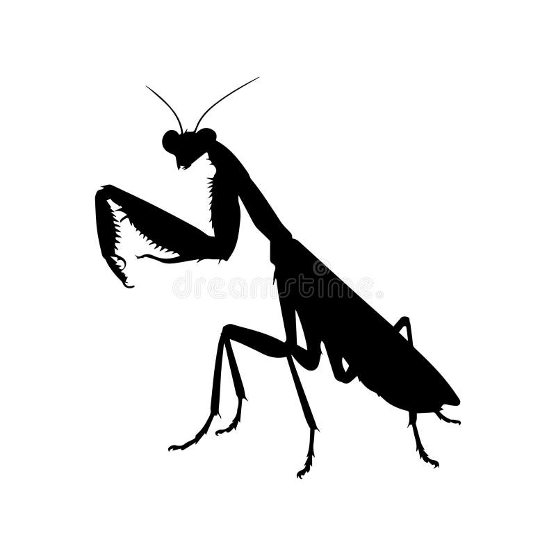 A Mantis Icon Typically Represents the Praying Mantis, Stock ...