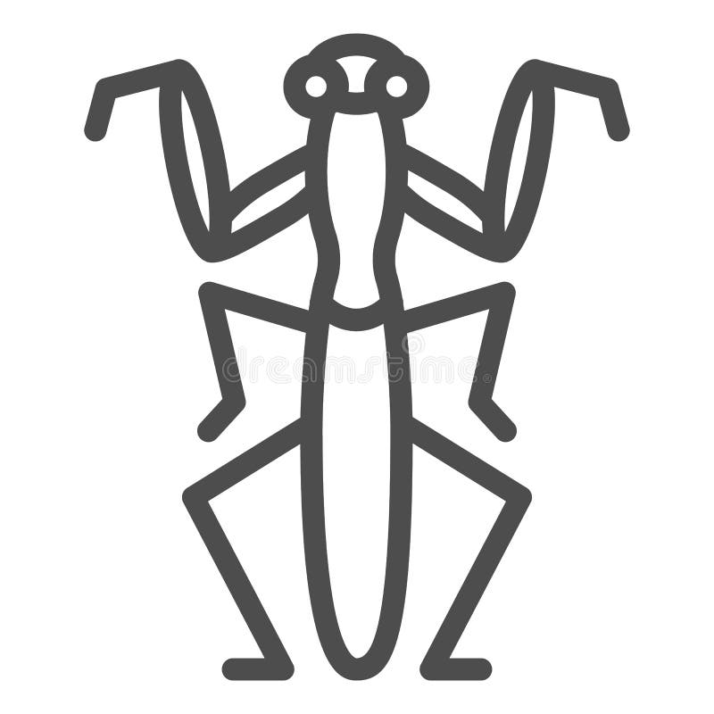 Mantis Line Icon, Insects Concept, Beetle Sign on White Background ...