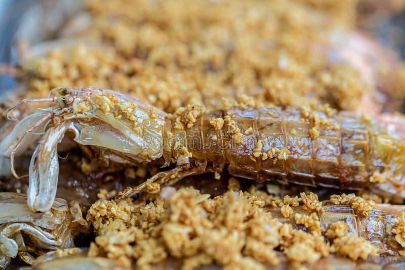 Mantis Prawns in Fried Garlic Stock Photo - Image of fresh, cuisine ...