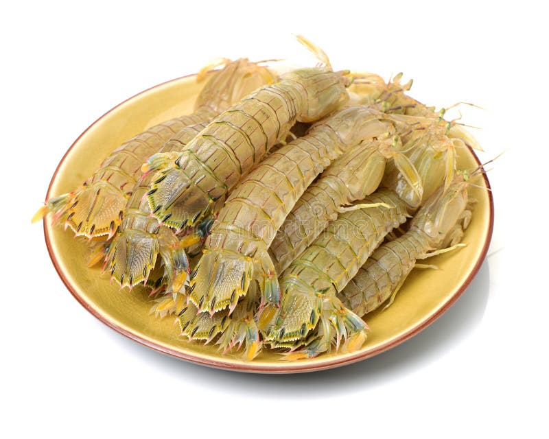 327 Mantis Shrimp Isolated Stock Photos - Free & Royalty-Free Stock ...
