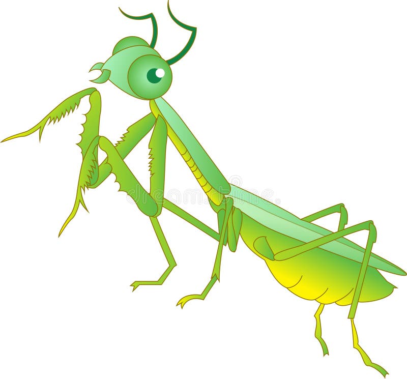 Mantises stock vector. Illustration of sketch, drawing - 36804853