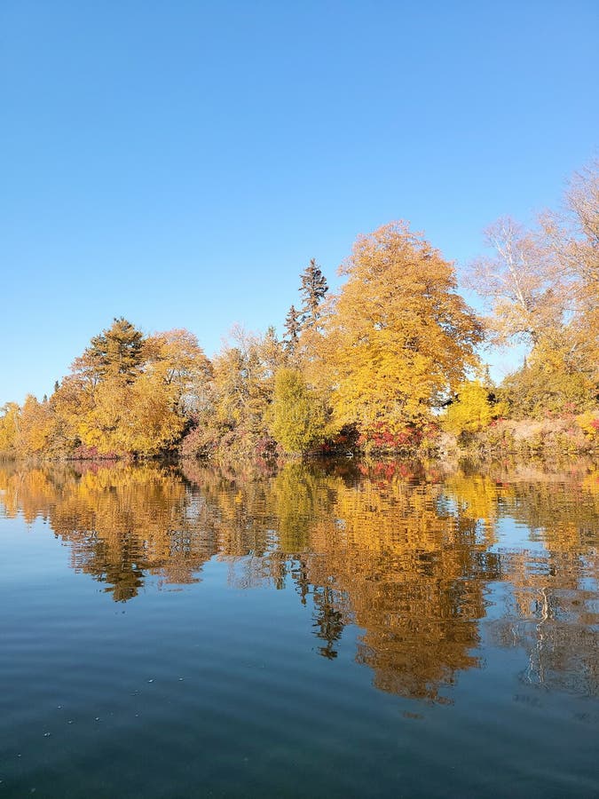 Mantrap Lake in the Fall stock image. Image of fall - 283099979