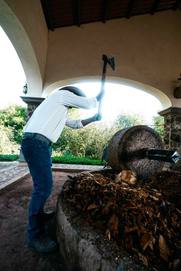 Agave Distillation Process for Tequila Production Stock Photo - Image ...