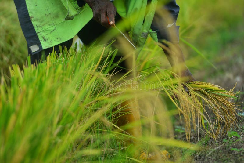 Objects and industries stock photo. Image of equipment - 320559016